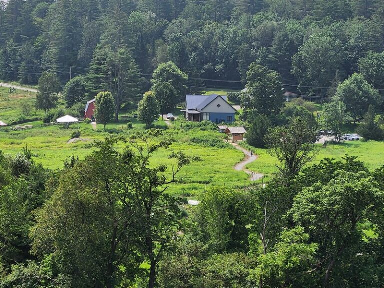 North Branch Nature Center – Connecting All Ages with the Natural World